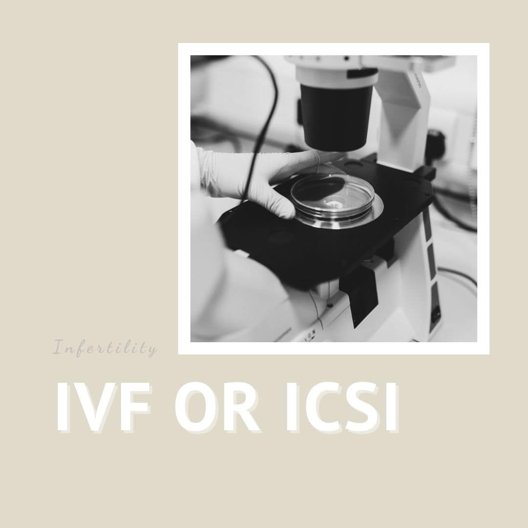 Fertility Social Media Posts | Instant Download | OB-GYN