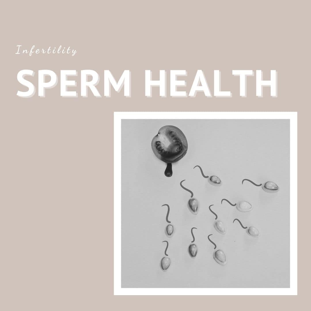 Fertility Social Media Posts | Instant Download | OB-GYN